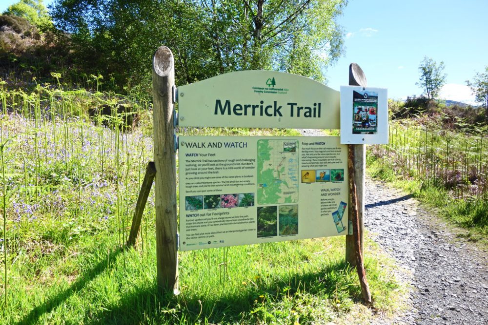 The Merrick & The Shepherd’s Hut | ThatGuyBry : The Live Your Life Blog