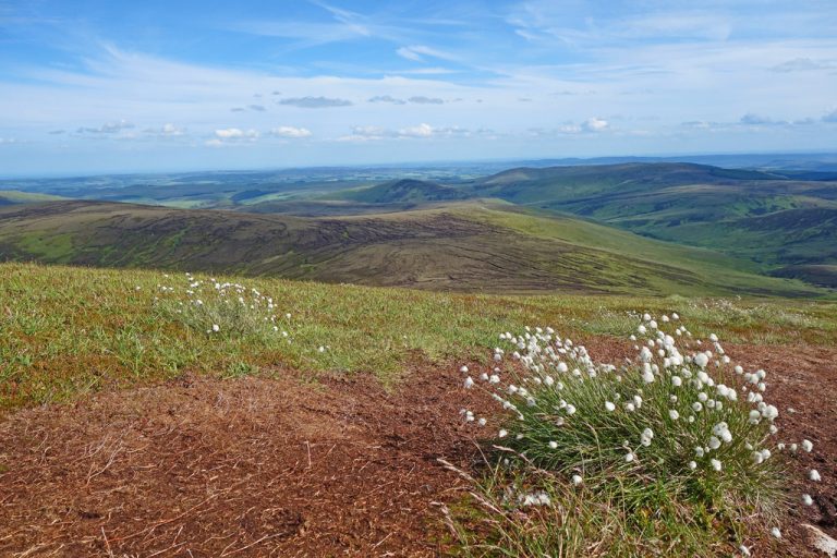 Bagging The Cheviot | ThatGuyBry : The Live Your Life Blog