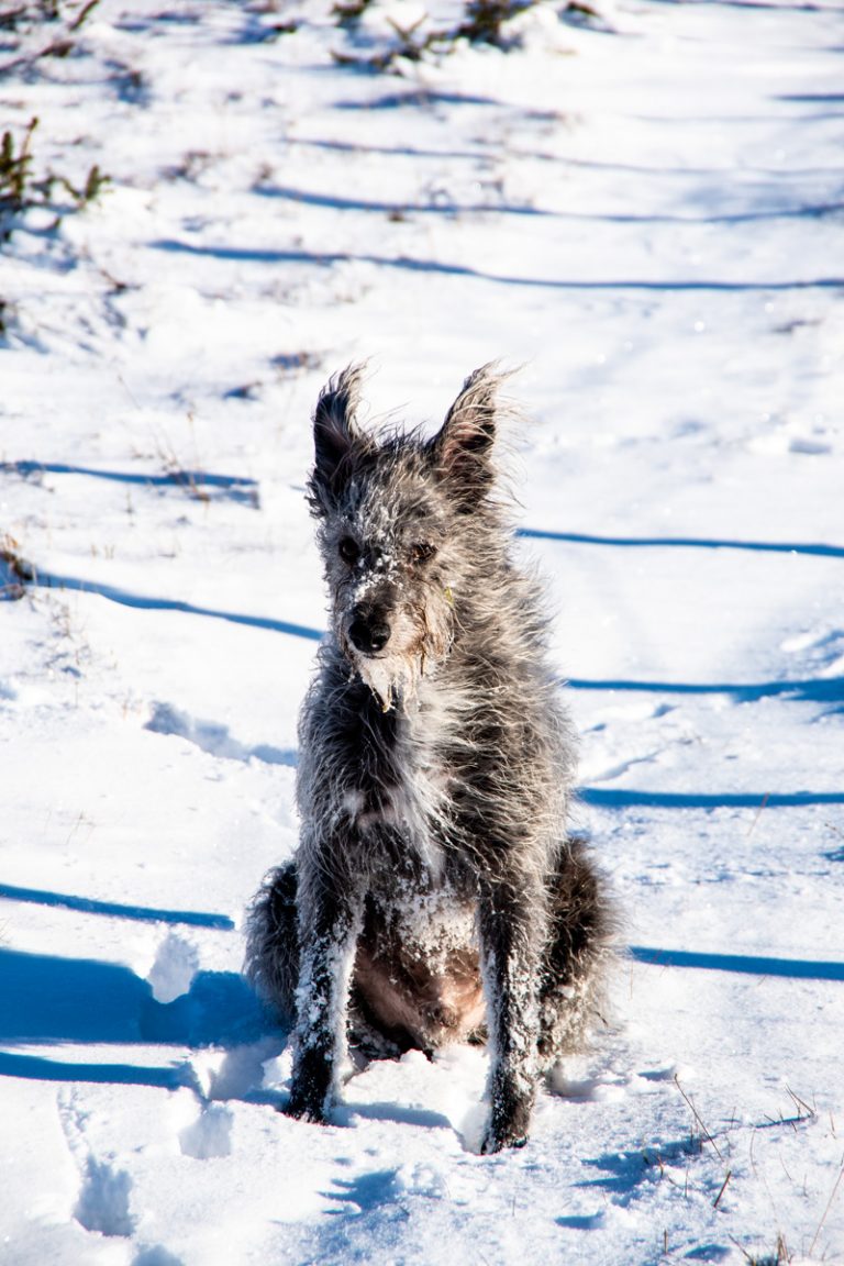 The Striding Arches at Moniaive | ThatGuyBry : The Live Your Life Blog